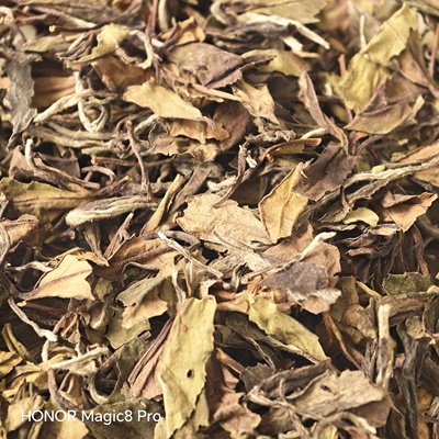 2014年福鼎白茶老枞老白茶白牡丹古井日晒不还价不是广西云南做旧