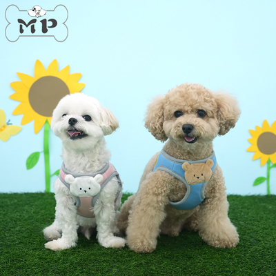 韩代宠物毛绒小熊胸背牵引绳套装