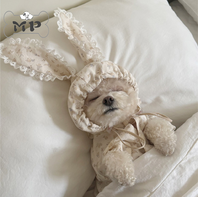 韩代宠物花连帽兔耳薄款防风夹克