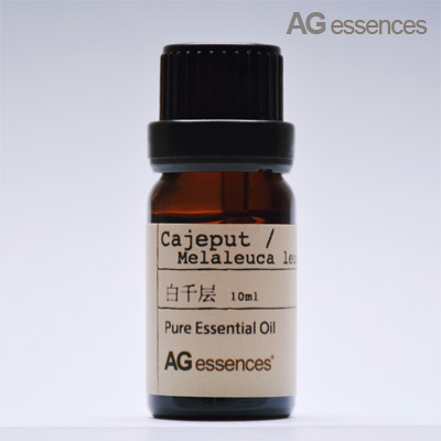 白千层10ml单方精油