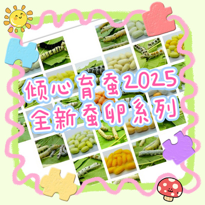 蚕宝宝珍稀宠物小学套餐特殊品种