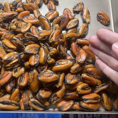 野生淡菜干特产青口贝海虹贻贝