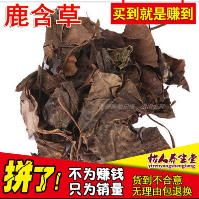 鹿含草鹿衔草鹿蹄草鹿安茶鹿寿草紫背金牛草优等鹿晗草500克包邮