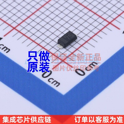 肖特基二极管 RSX101MM-30TR SOD-123FL ROHM(罗姆) 电子元器件