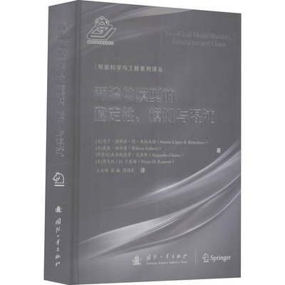 正版 两流体模型的稳定、模拟与混沌 马丁·洛佩慈9787118123968