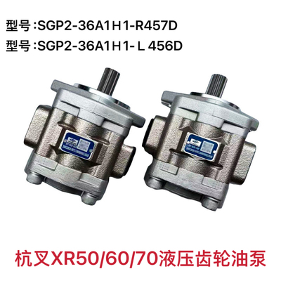 叉车液压泵齿轮油泵杭叉CPCD506070XRG77SGP2-36A1H1-L456D R457D