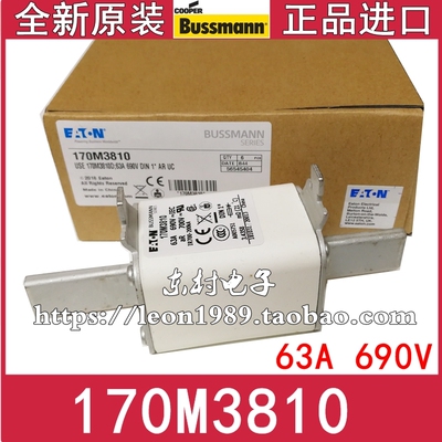 EAT/BUSSMANN熔断器170M3810-3809-3810D-3811-3813 40A 63A 690V