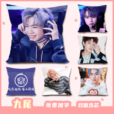 广东TTG九尾许鑫蓁周边抱枕定制照片应援写真枕头送朋友生日礼物