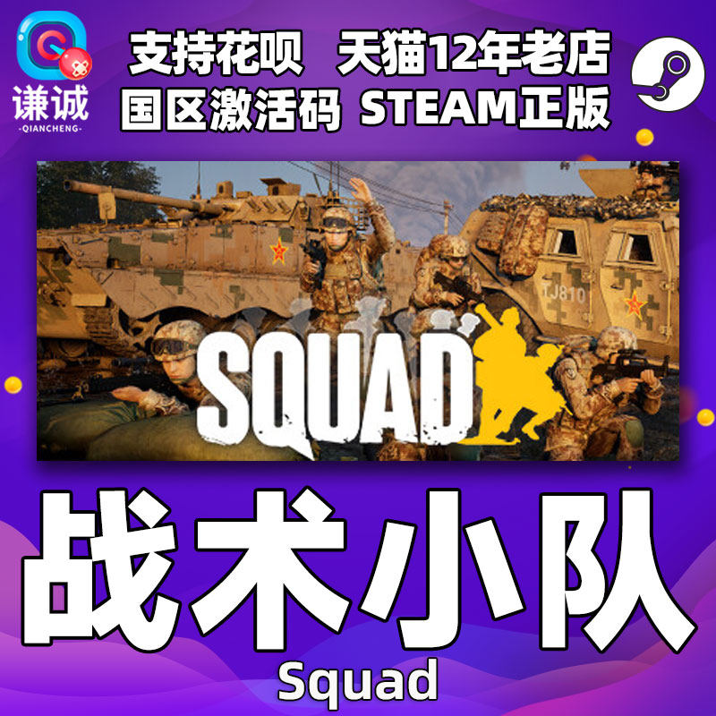 steam战术小队 Squad国区激活码cdkey PC中文正版秒发_虎窝淘