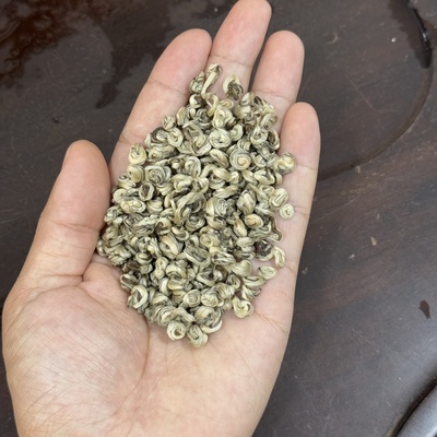 2025新茶茉莉小玉螺4窨单芽伏花浓香型125克罐装