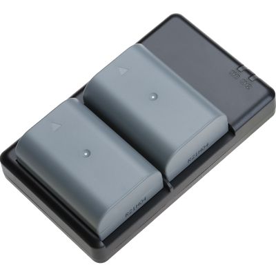 沣标DMW-BLF19E相机电池适用松下DMC-GH4 GH5 GH3 GH5S G9 DC-G9LGK PDZ-BLF19E适马SDQ相机电池充电器套装