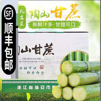陶山甘蔗新鲜青皮绿皮甘蔗