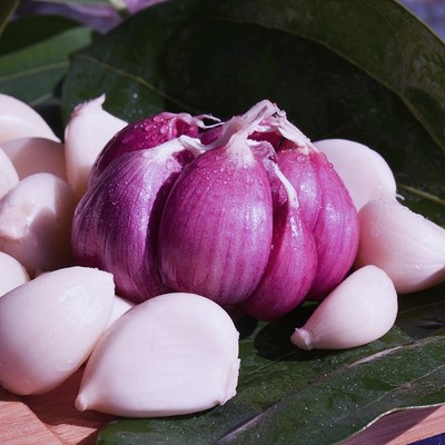 甘肃民乐普通新鲜紫皮大蒜头干蒜泥新蒜糖醋蒜种子腊八蒜瓣蒜米红