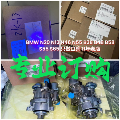 适用宝马3系5系7系X3X5X6 GT535i 525 530 N20N55N54高压油泵