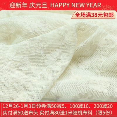 米色素雅绣花网布服装屏风布料