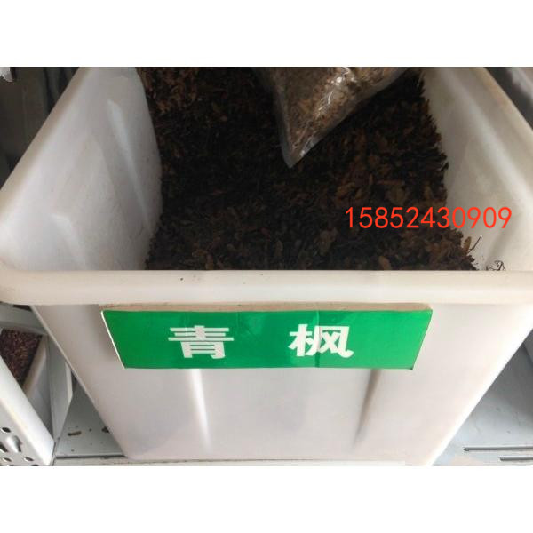 青枫种子 鸡爪枫种子 三角枫种子槭树种子红枫种子美国红枫树种子