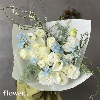 植物图书馆白玫瑰约会