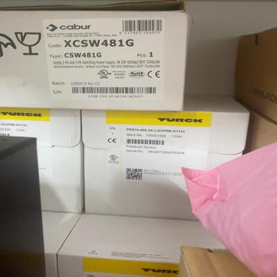 Cabur XCSW481G  csw481G议价