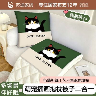 苏迪车载用办公室午休用抱枕被子