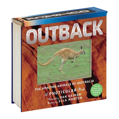 光与影视觉袋鼠及其他神奇动物