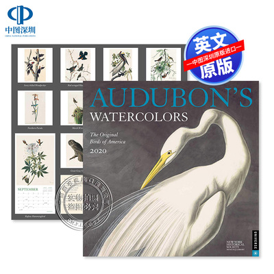 现货 奥杜邦美国鸟类 水彩画 美洲的鸟 2020年画集挂历日历 英文原版 Audubon's Watercolors 2020 Wall Calendar 艺术 鸟类爱好者