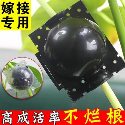植物高压繁殖盒控根器扦插嫁接高压包生根盒枝繁殖球生根繁殖器