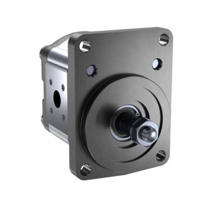 0510425009 AZPF10-008RCB20MB 原装全新Rexroth力士乐齿轮泵正品