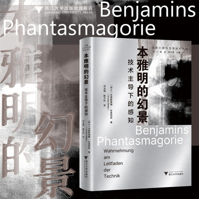 本雅明的幻景：技术主导下的感知/法德文学与思想研究译丛/[德]克里斯汀·布莱特勒/刘永强 陈子轩 译/浙江大学出版社