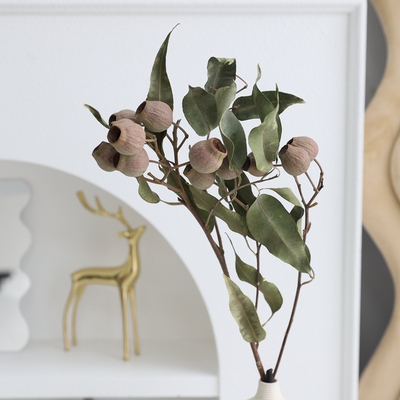 等花来永生花南非干花家居装饰