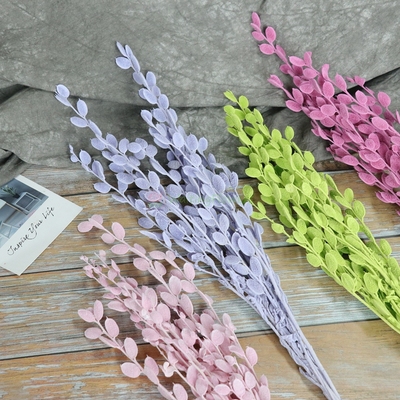 瓜子花03160日本大地农园进口永