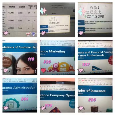 loma考试咨询 美国寿险管理师保险师咨询罗马 ALMI/FLMI