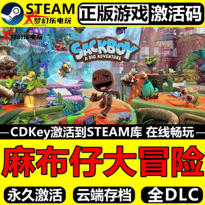 麻布仔大冒险正版Steam激活码CDK
