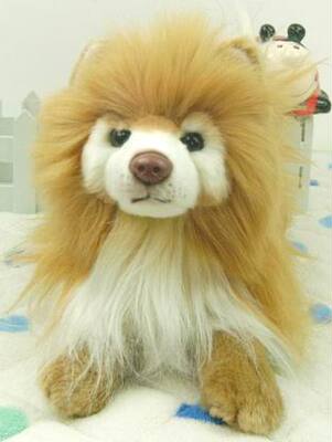 （定做）仿真博美犬狗狗pomeranian毛绒玩具公仔