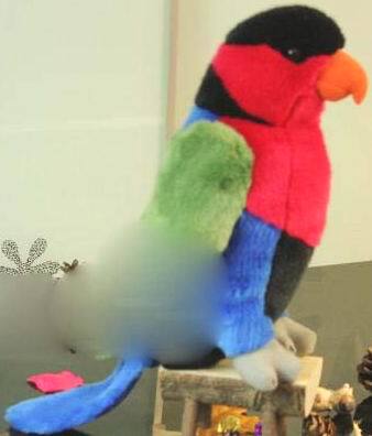 （代购）仿真黑顶吸蜜鹦鹉black-capped lory毛绒玩具公仔