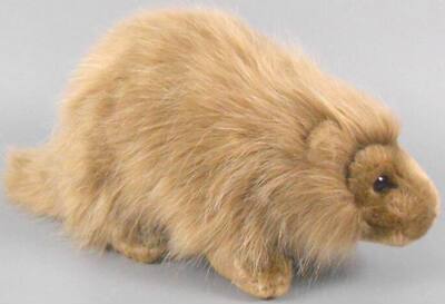 （代购）英国cabin仿真北美豪猪american porcupine毛绒玩具公仔