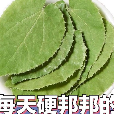 野生淫羊藿三支九叶草