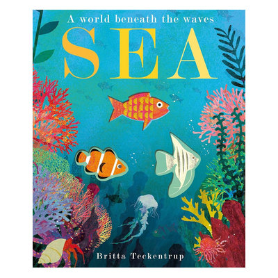 预售英文原版Sea: A World Beneath the Waves海洋 波浪之下的世界自然世界探索科普洞洞书纸板绘本4-8岁