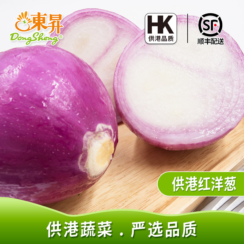 东升农场 紫皮洋葱新鲜葱头红皮圆葱生吃 烧烤 广州配送500g