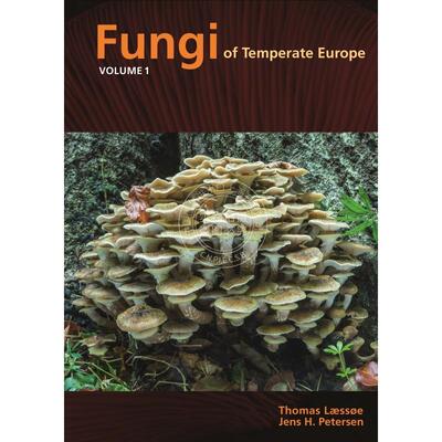【预售 按需印刷】 Fungi of Temperate Europe欧洲温带真菌 英文原版普林斯顿