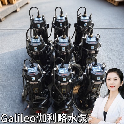 潜污泵污水泵水埋地式隔爆qw型提升空调米增压手动排污泵螺旋泵