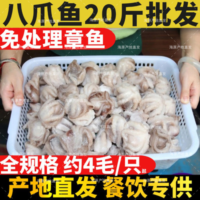 三去免处理八爪鱼鲜活冷冻蚝蛋烧芥末章鱼小丸子捞汁火锅商用批海