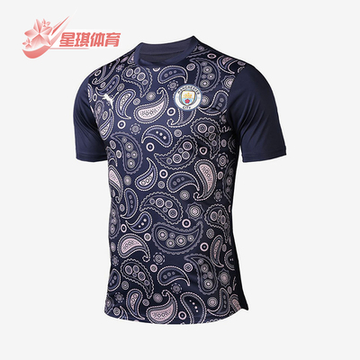 Puma/彪马正品2025男士日常圆领套头耐穿透气足球短袖758030-09