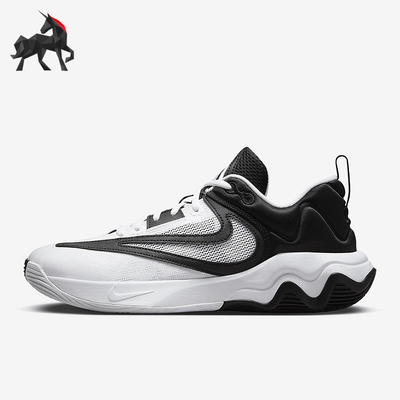 Nike/耐克正品四季款男士透气透气系带复古经典篮球鞋DZ7533-100