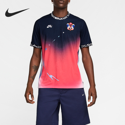 Nike/耐克正品夏季男士套头训练潮流复古短袖T恤FZ4066-451