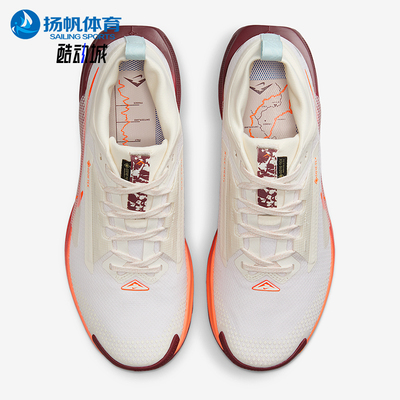 Nike/耐克正品Pegasus女士回弹缓震运动透气耐磨跑步鞋FQ0912-104