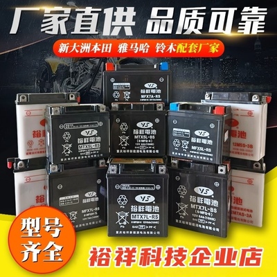 裕祥电池摩托车全新正品一年换新