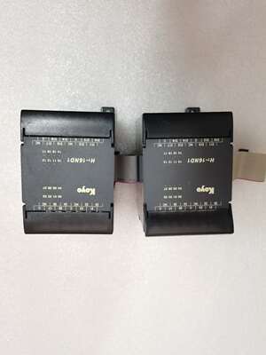 光洋扩展模块H1-16ND1   H1-16CDR1 1 H1-8TR1 光洋PLC