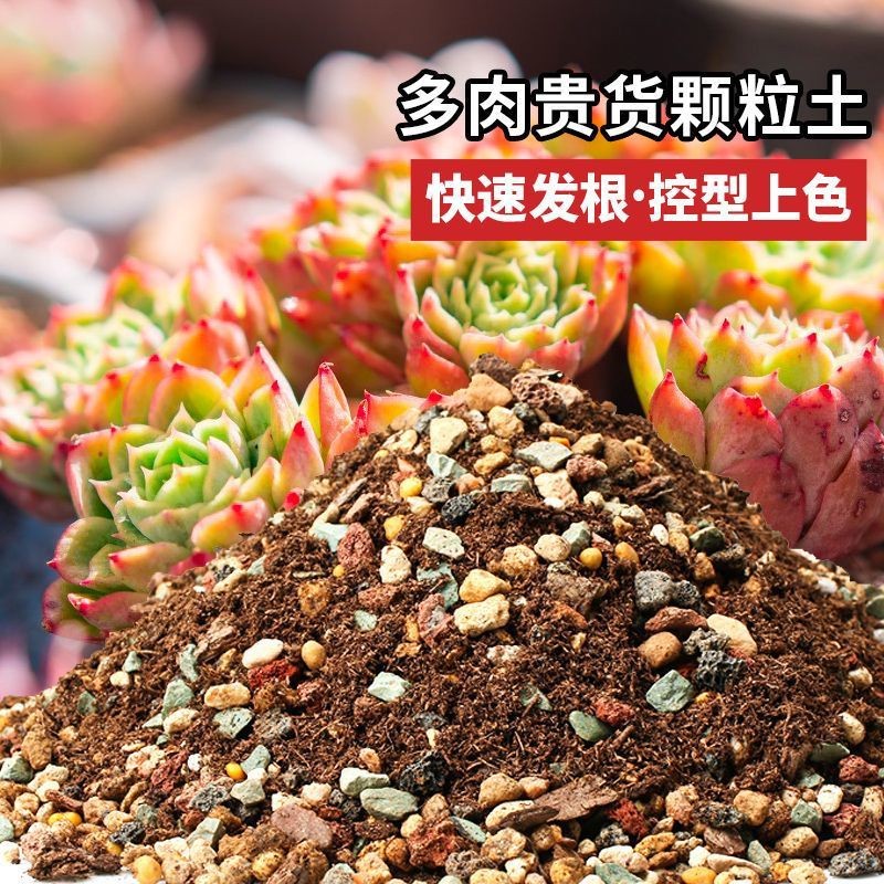 多肉颗粒土多肉土专用营养土壤种植土泥铺面石纯颗粒泥炭花土盆栽