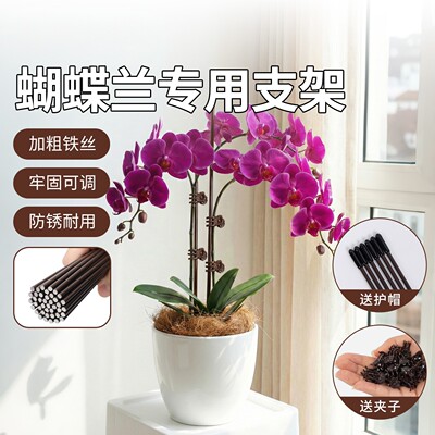 蝴蝶兰支架支撑杆爬藤蔓藤花卉固定专用花架花卉植物夹花定型夹子