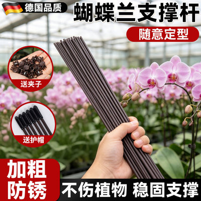 蝴蝶兰支架夹子爬藤花卉专用固定夹园艺造型铁丝植物防倒伏支撑杆